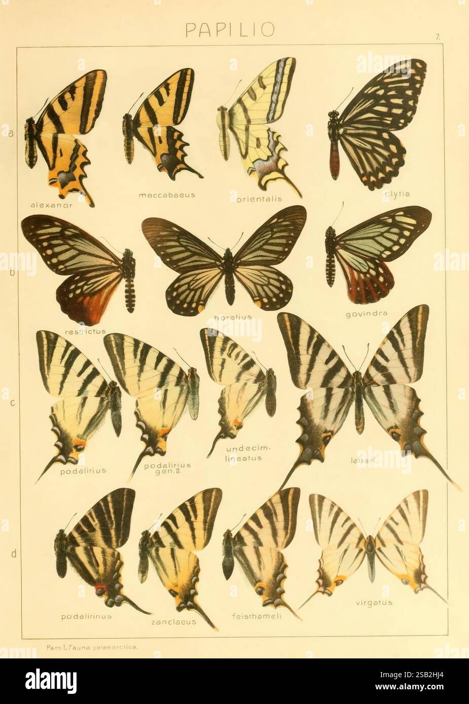 Featuring subtle grid patterns hi-res stock photography and images - Alamy