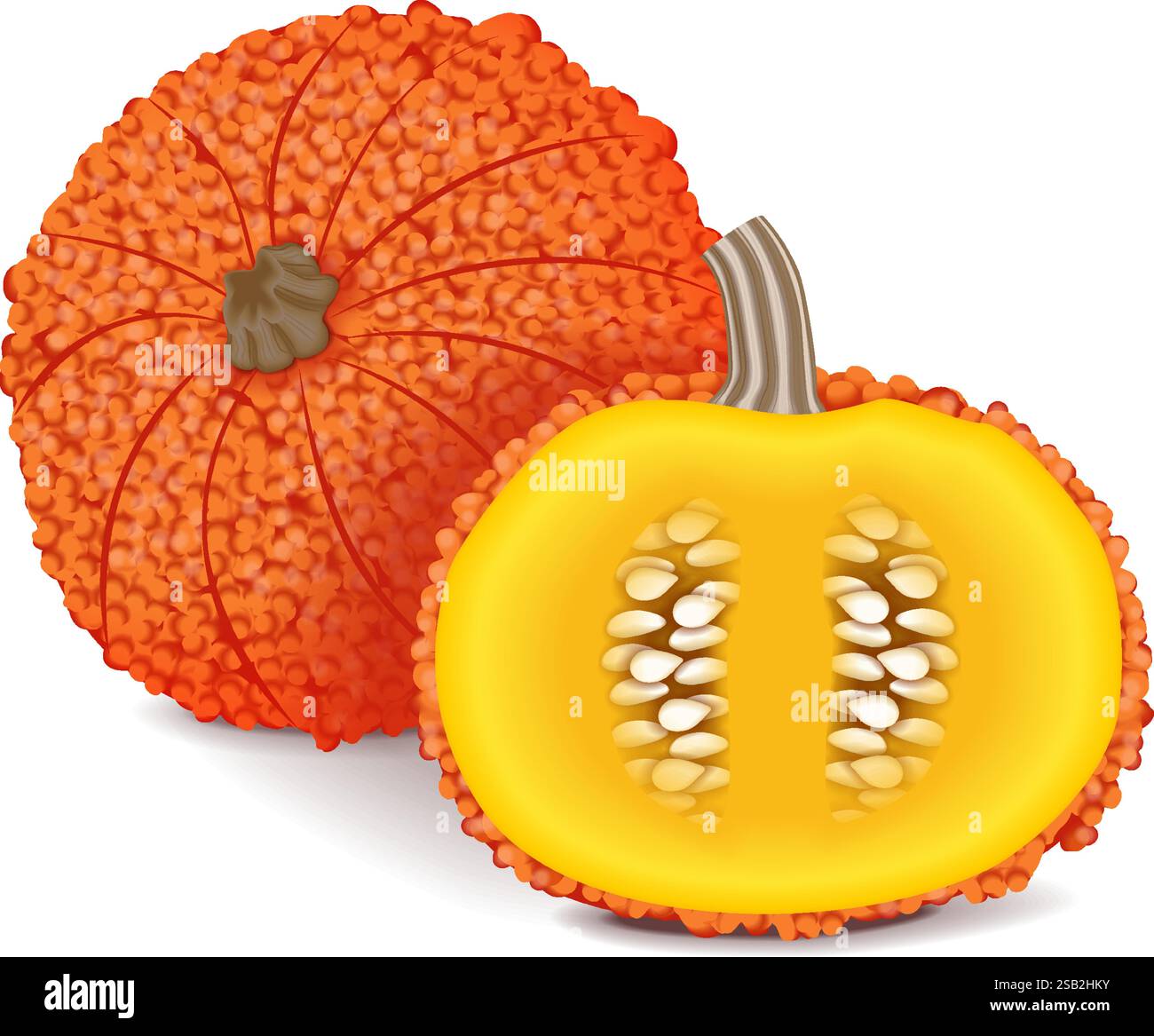 Whole and half of Red Warty Thing Pumpkin. Winter squash. Cucurbita ...