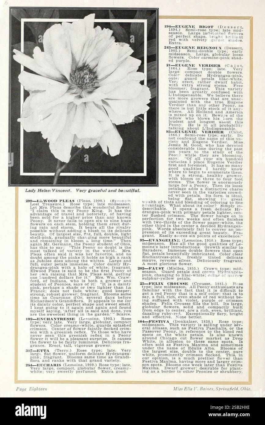 Catalogs charm hi-res stock photography and images - Alamy