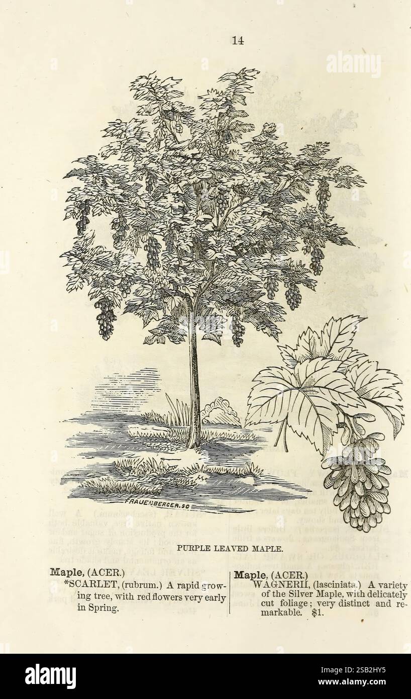 Descriptive text entries hi-res stock photography and images - Alamy