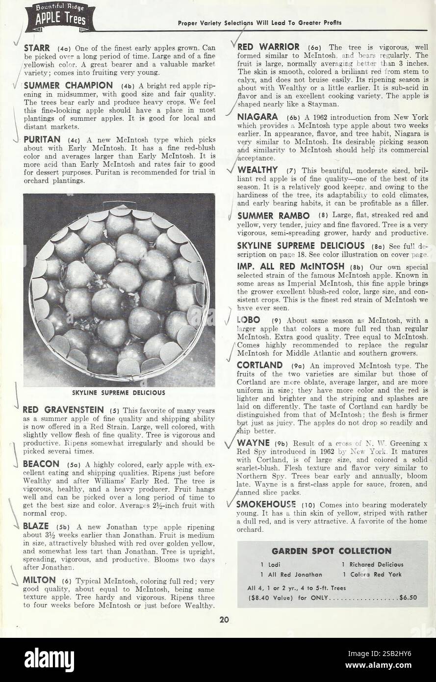 Planting guide, Princess Anne, Md, Bountiful Ridge Nurseries, 1964 ...