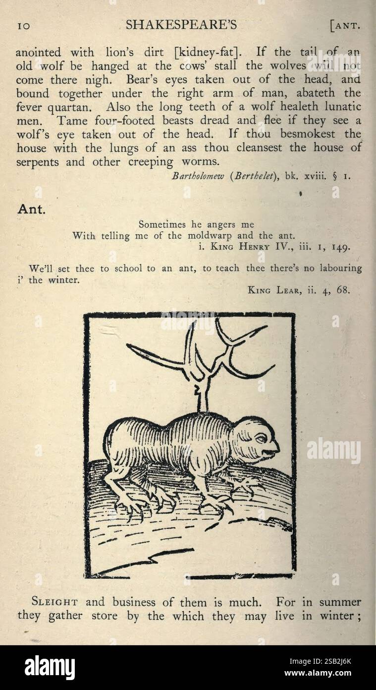 Ways animals adapt hi-res stock photography and images - Alamy