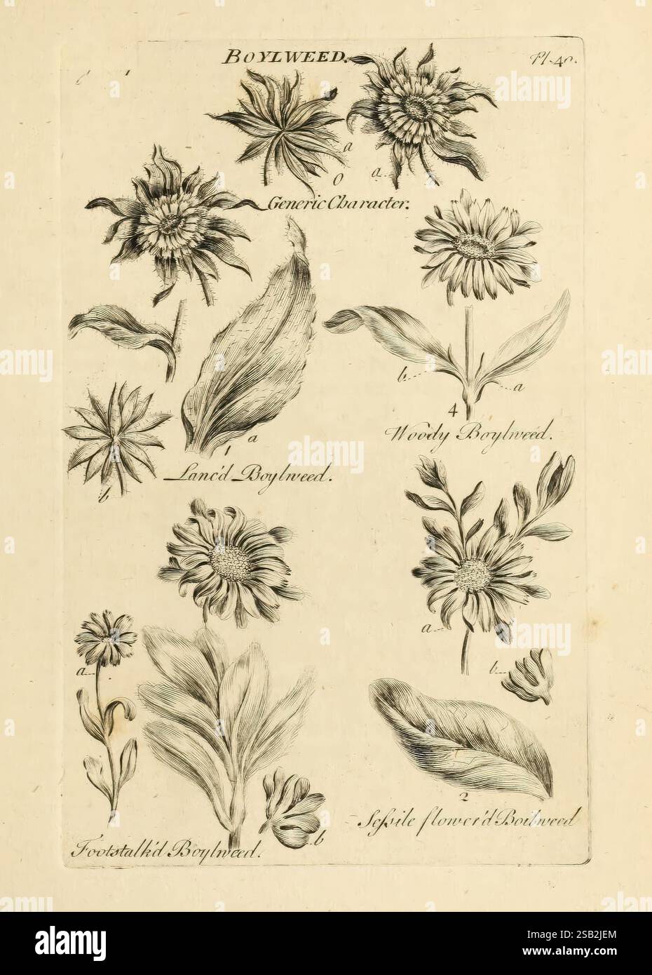 Varying textures highlighting hi-res stock photography and images - Alamy