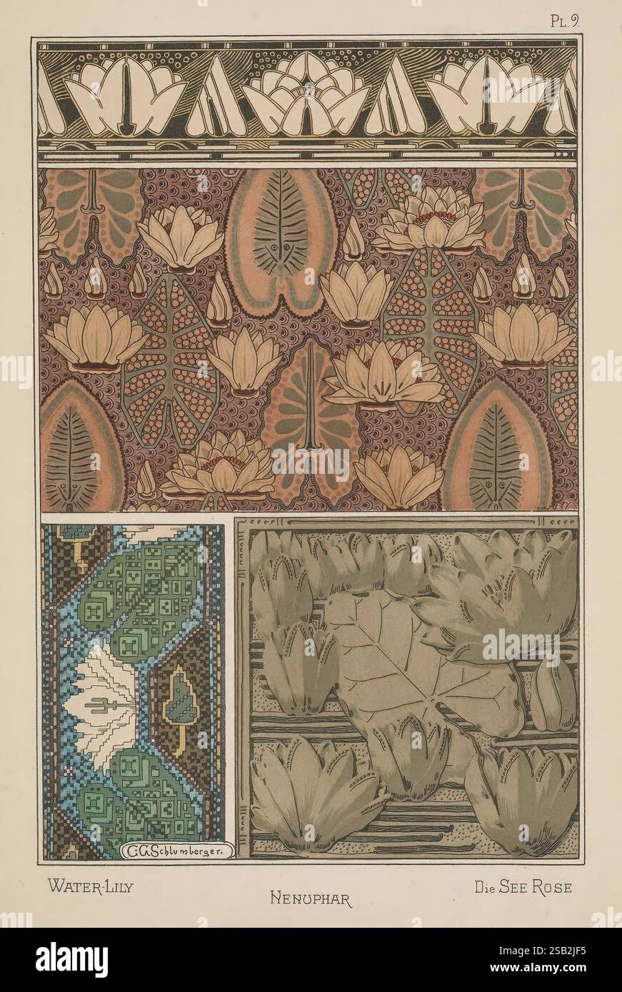 Stylized aquatic patterns hi-res stock photography and images - Alamy