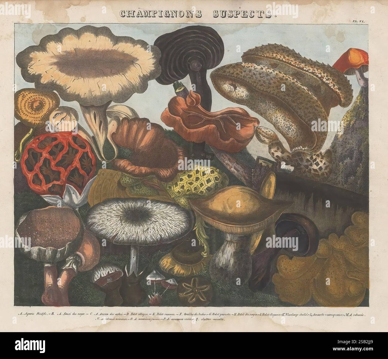 Scientific style evokes hi-res stock photography and images - Alamy