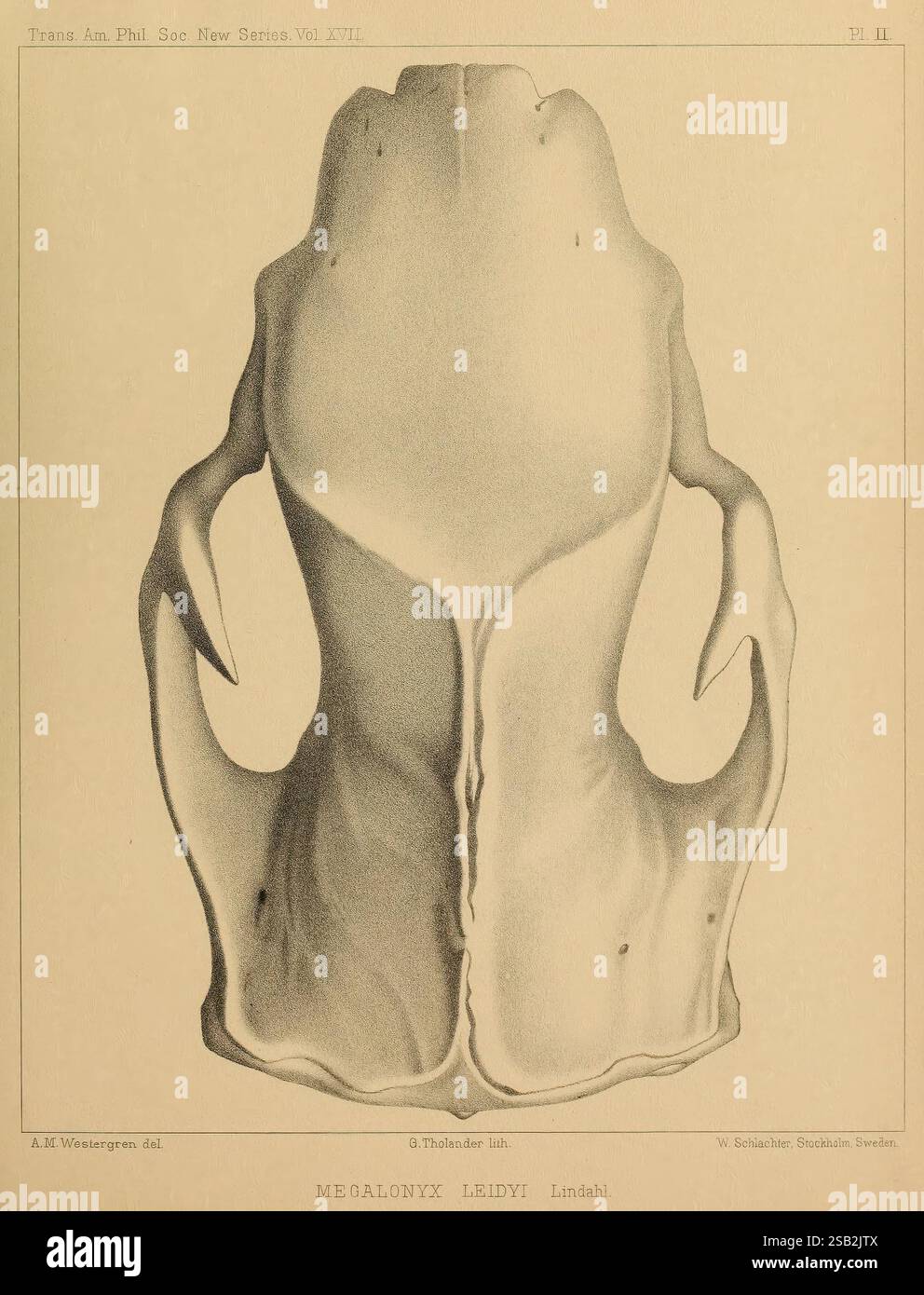 Transactions of the American Philosophical Society, Philadelphia ...