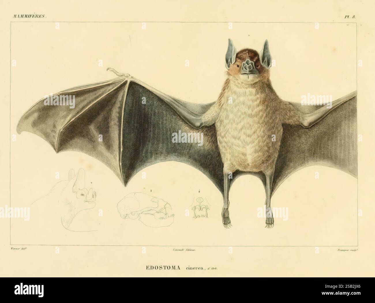 Wingspread position hi-res stock photography and images - Alamy