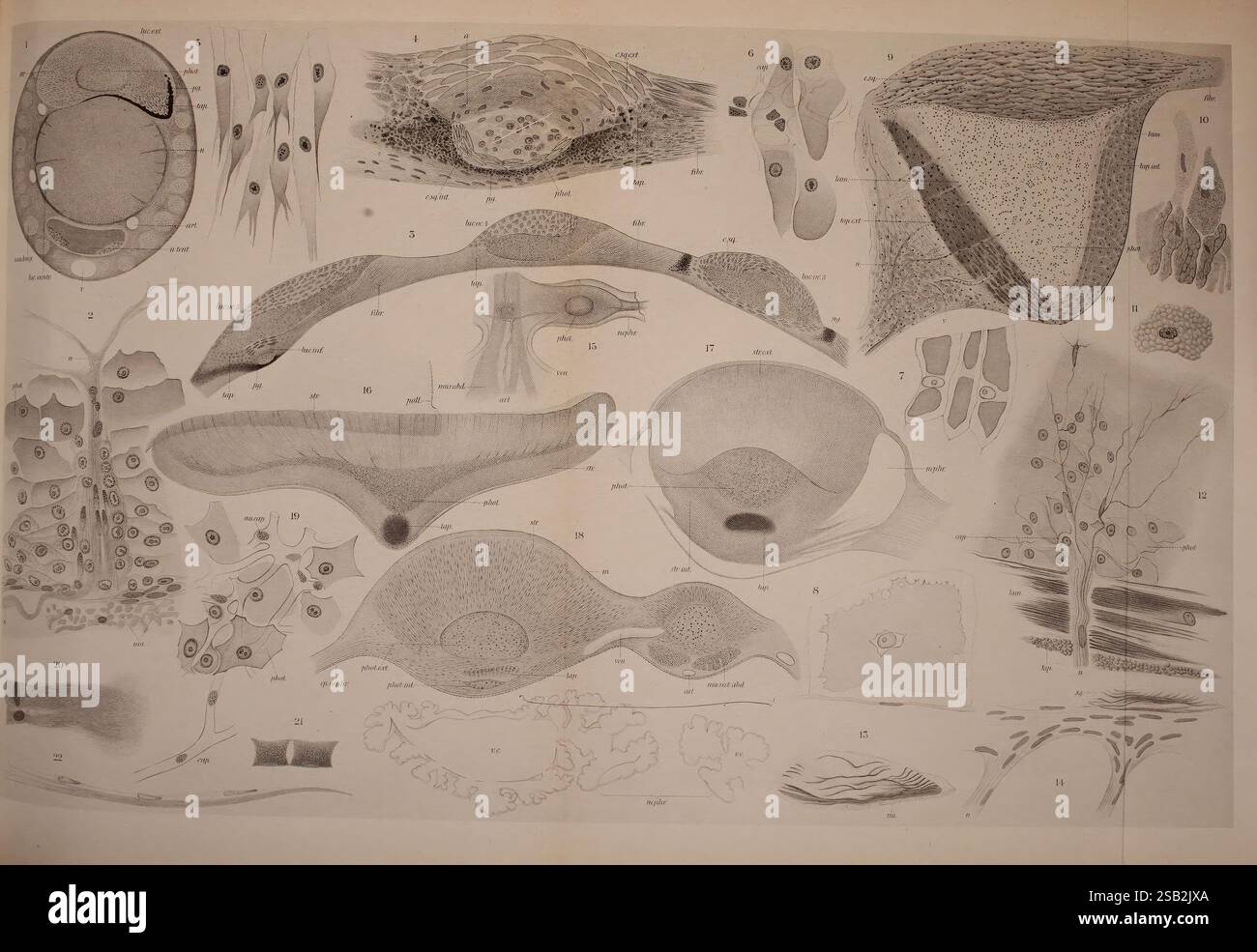 Structural complexities essential hi-res stock photography and images ...
