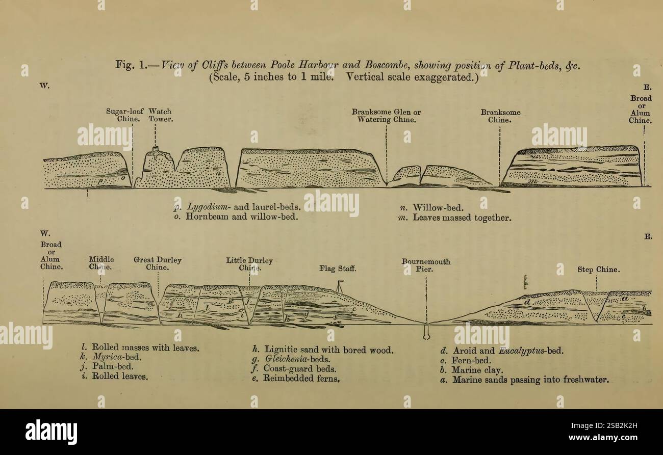 Fossil presence hi-res stock photography and images - Alamy