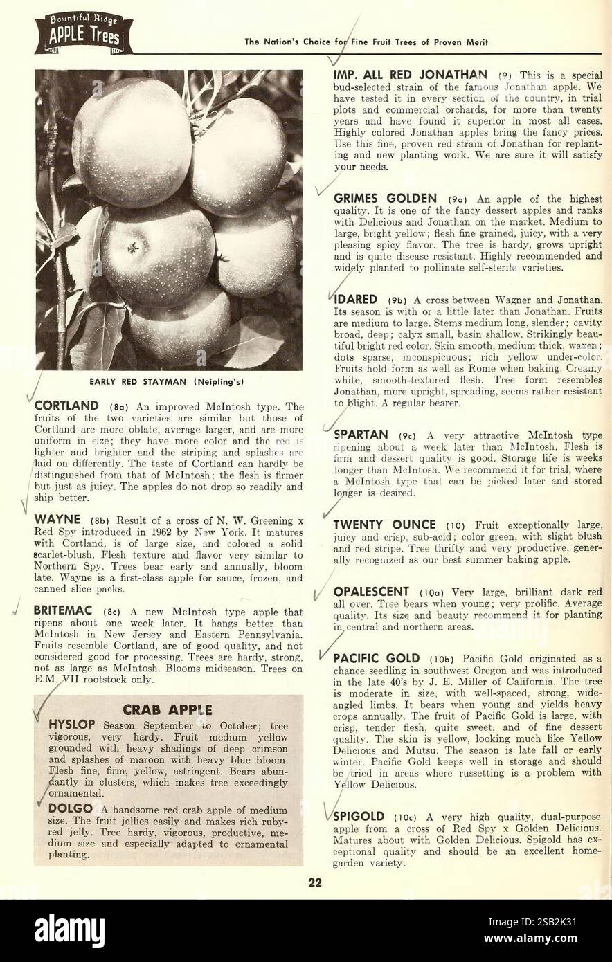 Planting guide, Princess Anne, Md, Bountiful Ridge Nurseries, 1967 ...