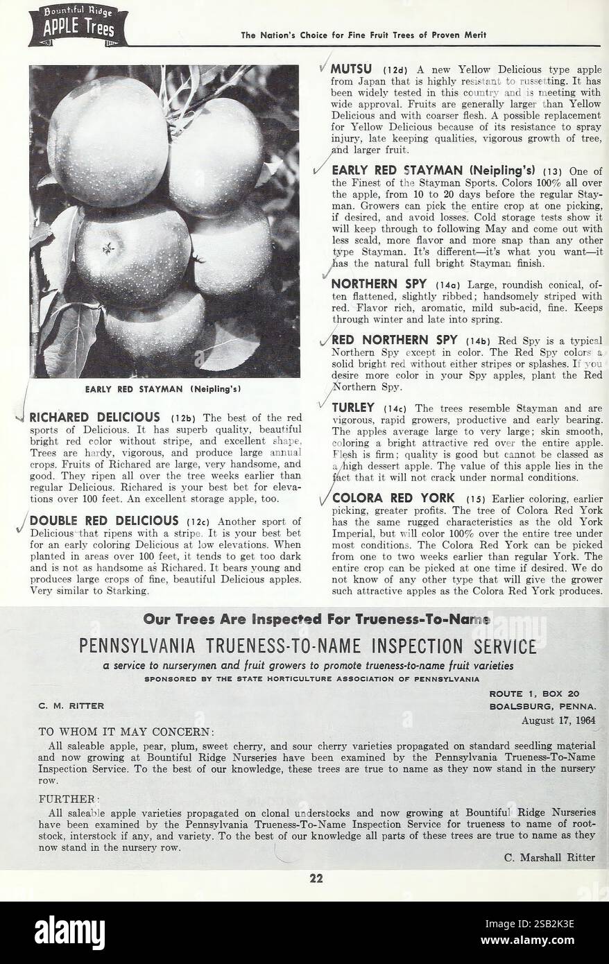 Include growth habits hi-res stock photography and images - Alamy