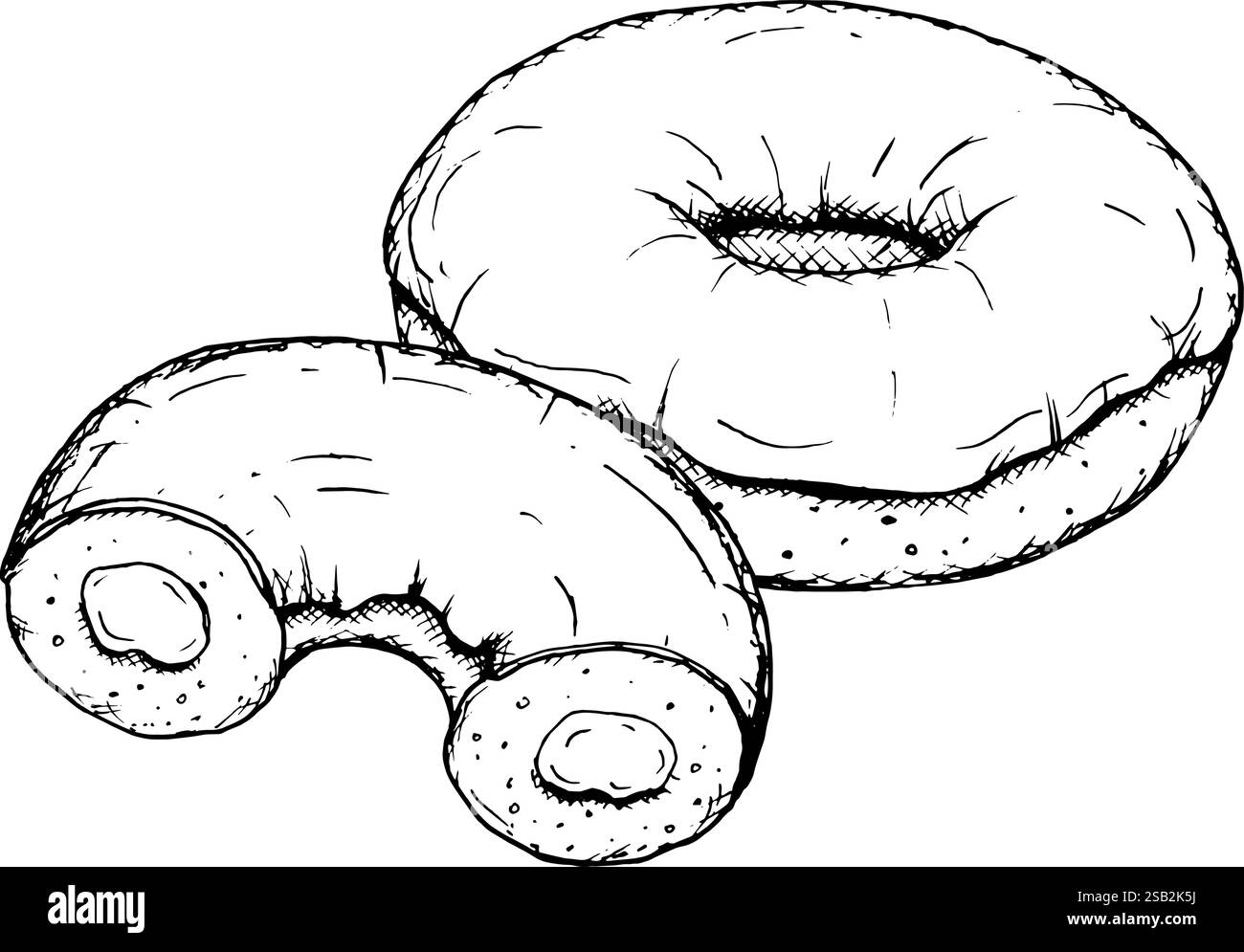 Hand drawn ink vector illustration of two classic donuts, one whole and ...
