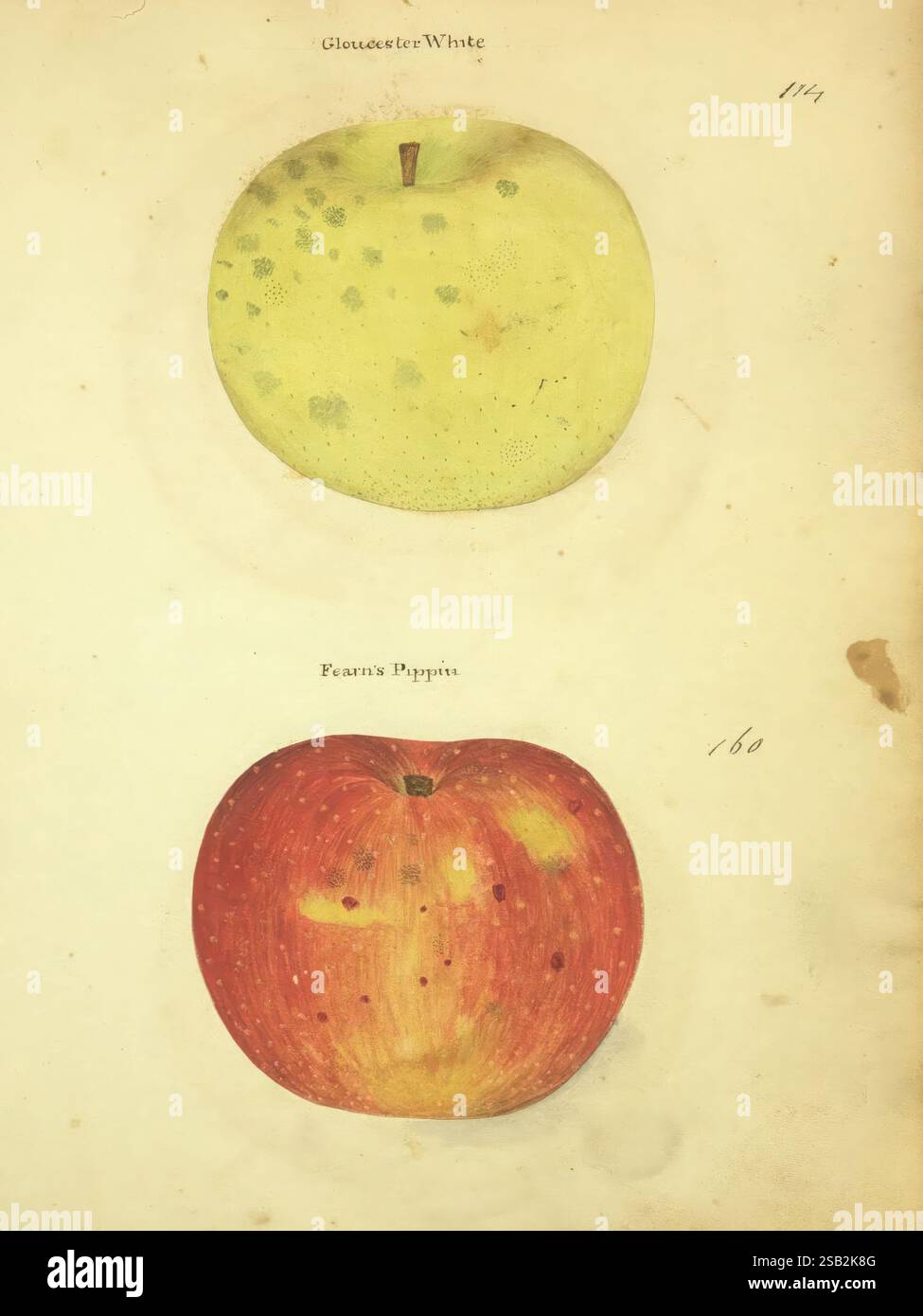 William Coxe, manuscript, 1810-1831, This illustration features two ...