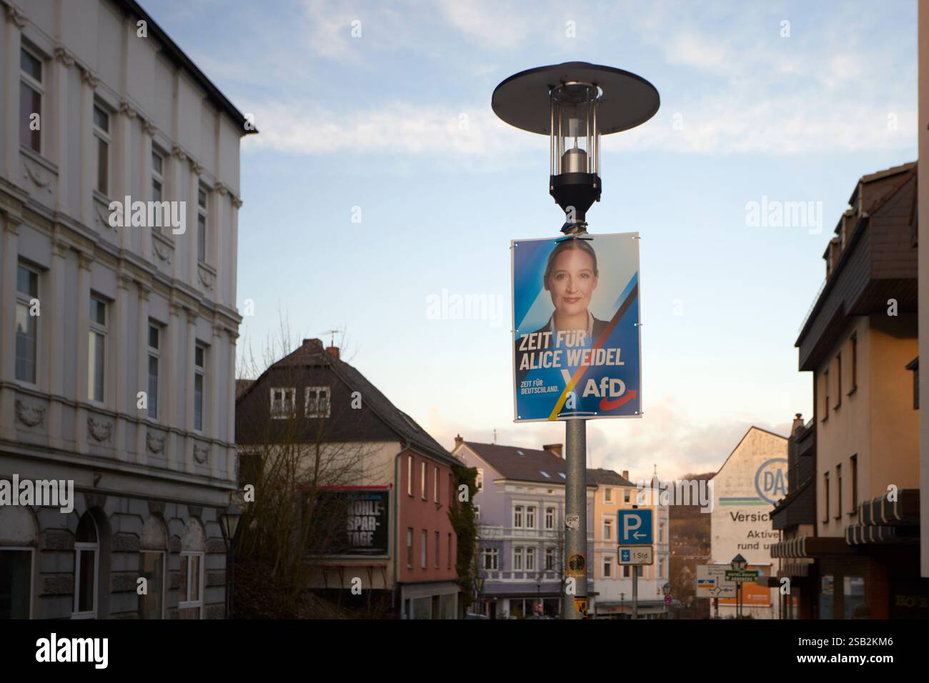 Arnsberg, NRW, Germany, 31 01 2025, election poster of AFD for the ...