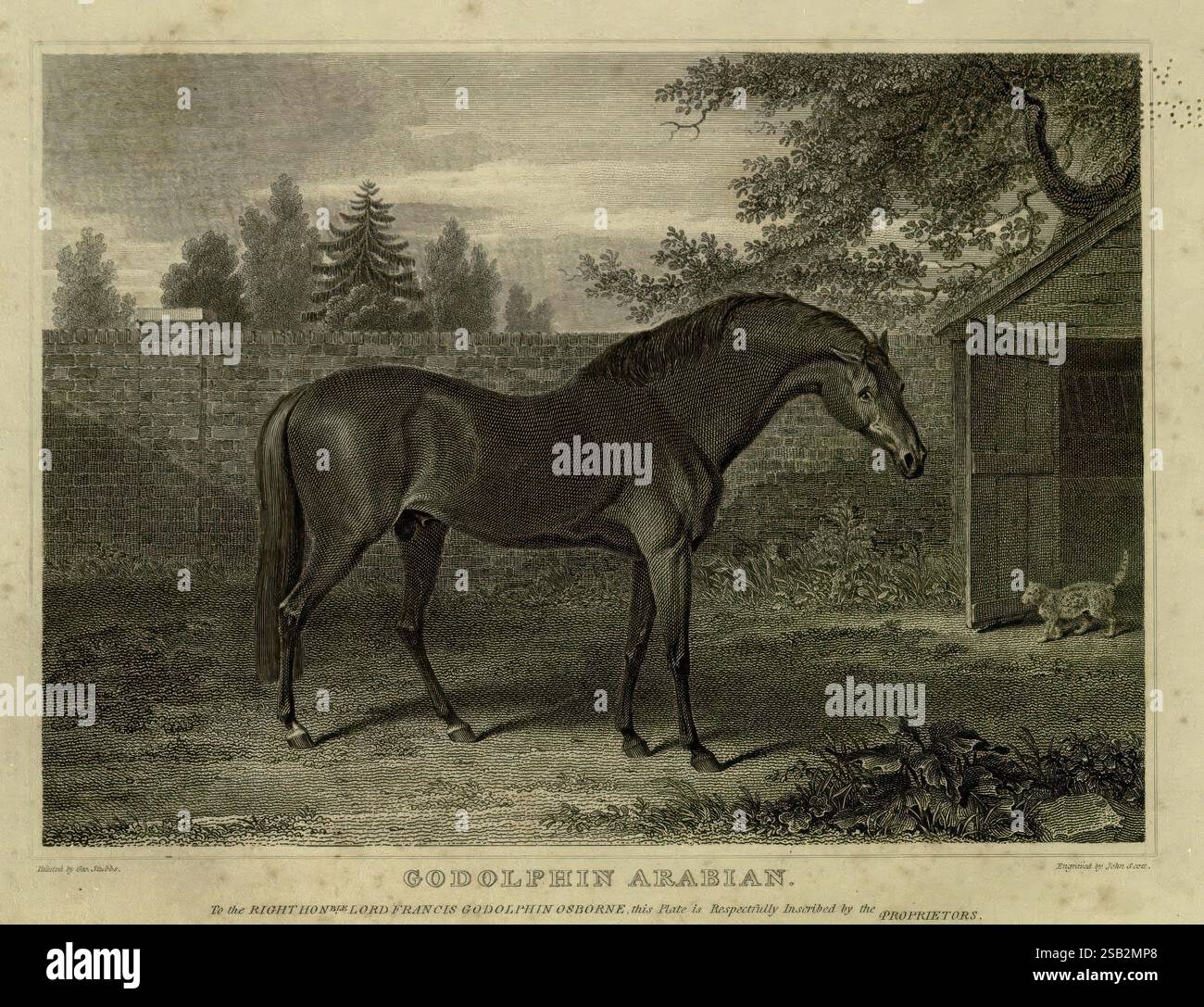 The sportsman's repository London, Henry G. Bohn, 1845, dogs, horses ...