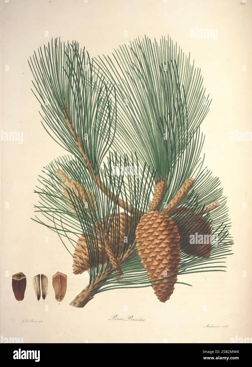 Several cone structures hi-res stock photography and images - Alamy