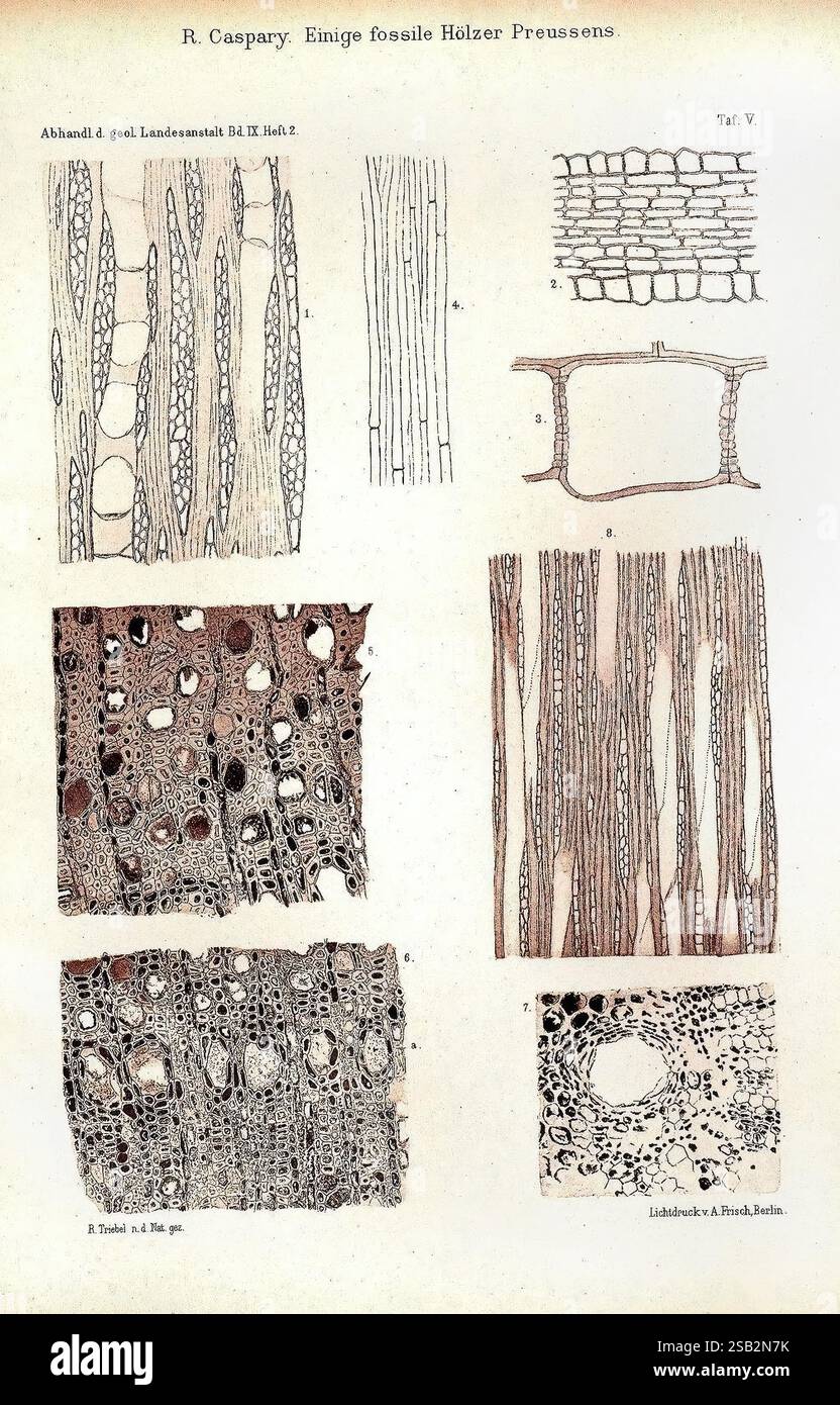 Tangential patterns hi-res stock photography and images - Alamy