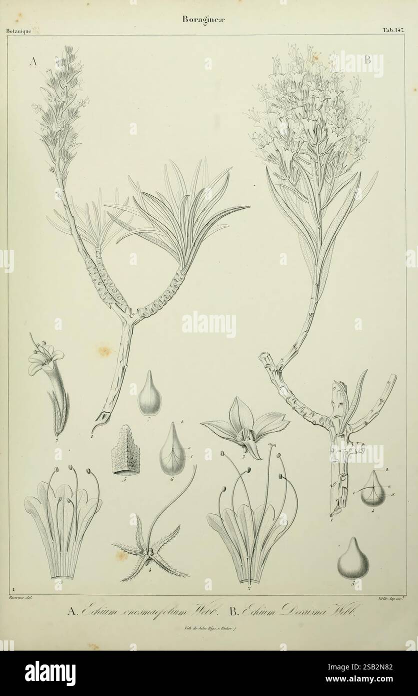 Labeled breakdown hi-res stock photography and images - Alamy