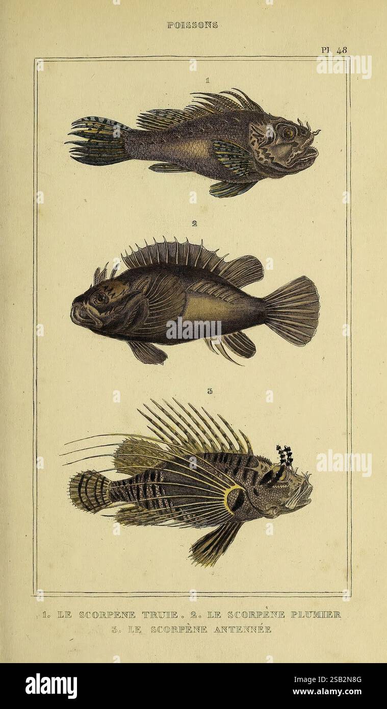 Oeuvres du comte de Lacépède, Paris, P. Duménil, 1836, natural history ...