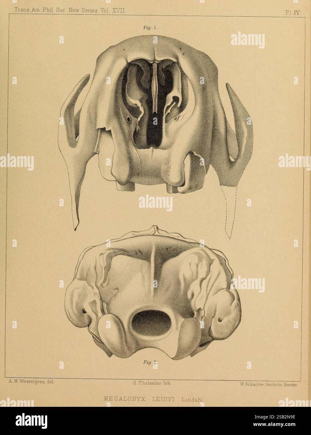 Transactions of the American Philosophical Society, Philadelphia ...
