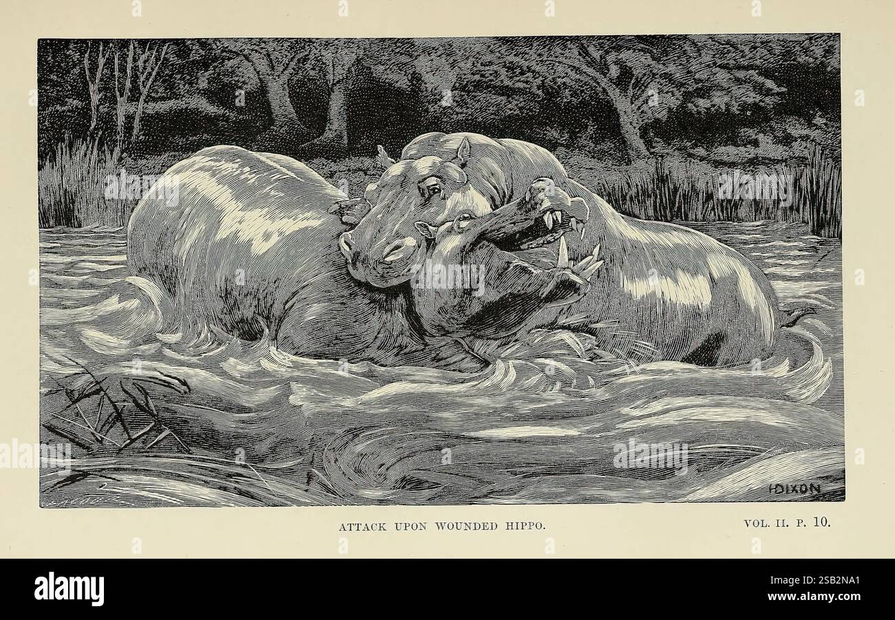 Wild beasts and their ways London, Macmillan, 1890, animal behavior ...