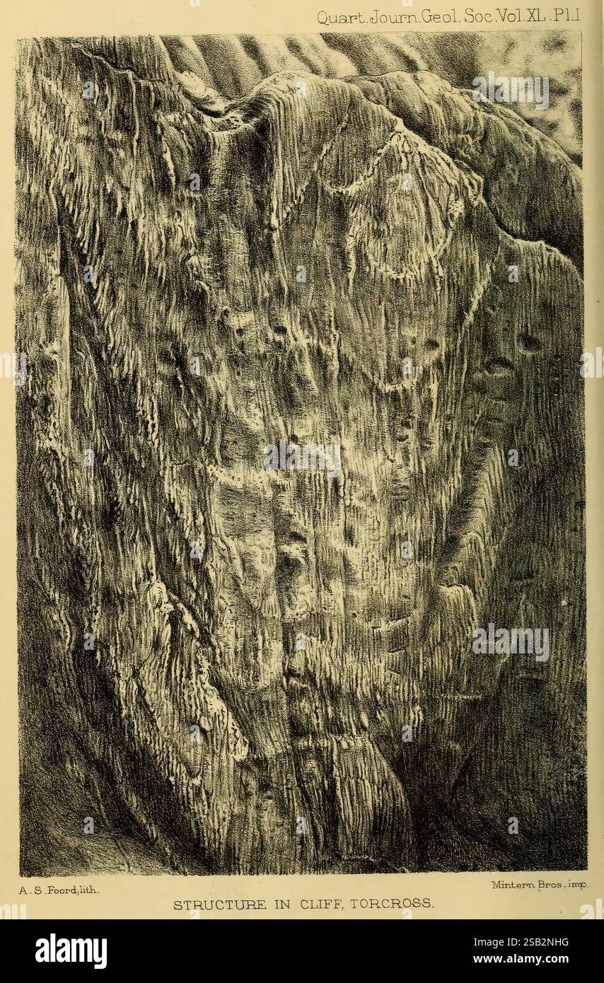 Subtle relief patterns hi-res stock photography and images - Alamy