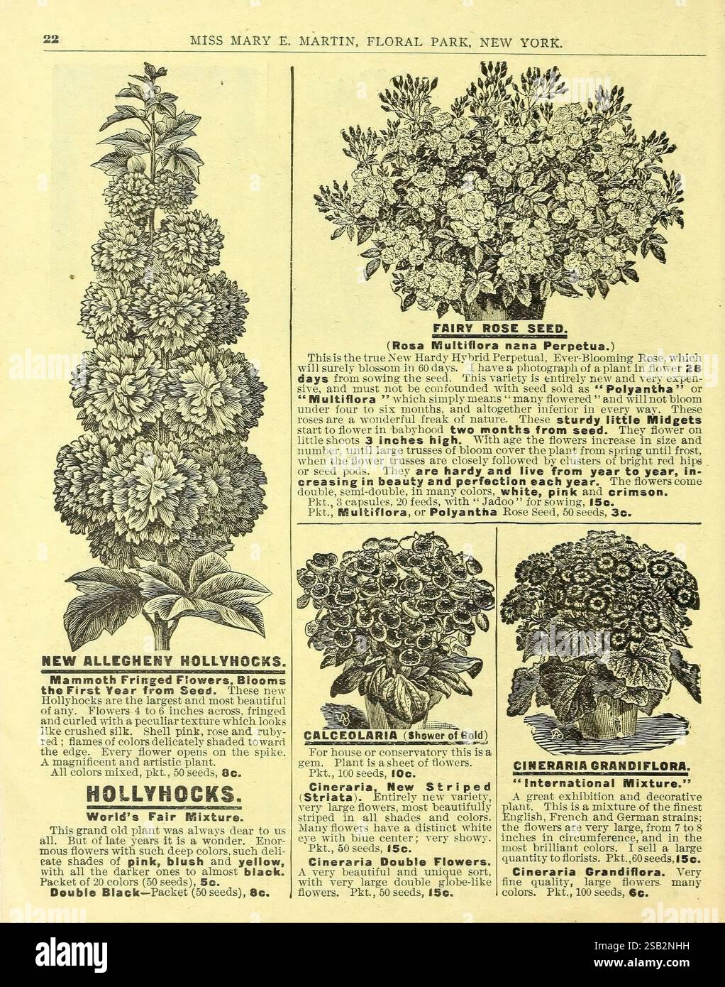 Mammoth blooms hi-res stock photography and images - Alamy