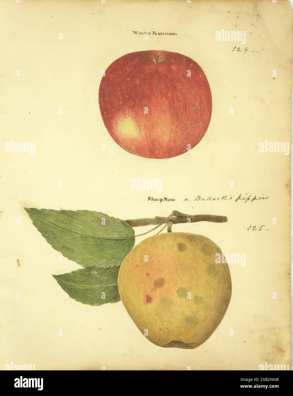 Two types highlights hi-res stock photography and images - Alamy