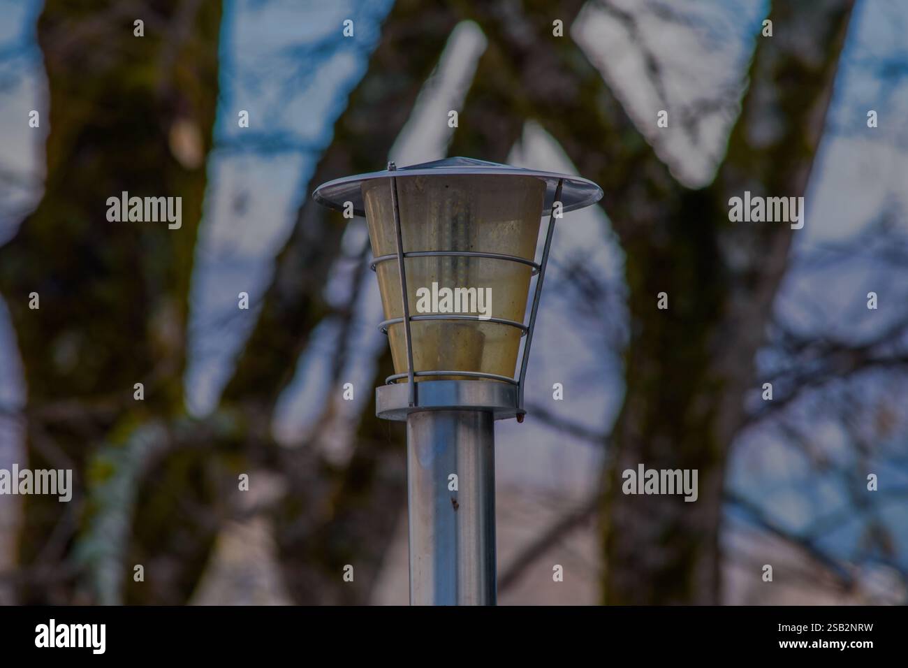 Night street lighting, where the lamps softly illuminate the path, with ...
