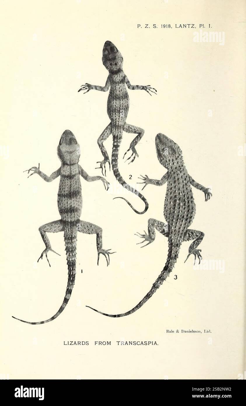 Proceedings of the Zoological Society of London, London, Academic Press ...