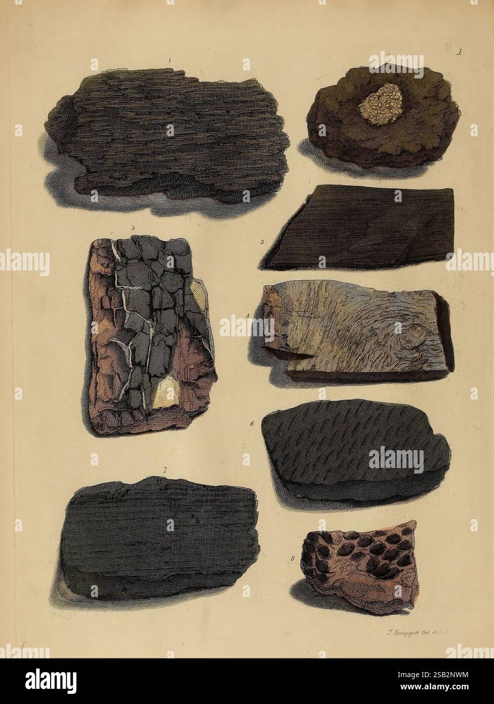 Piece showcases distinct textures hi-res stock photography and images ...