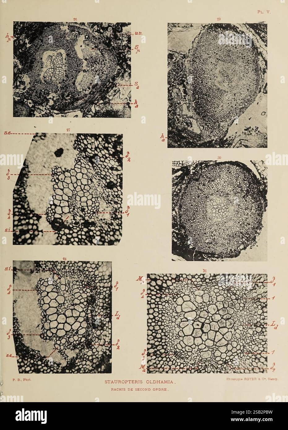Six different panels hi-res stock photography and images - Alamy