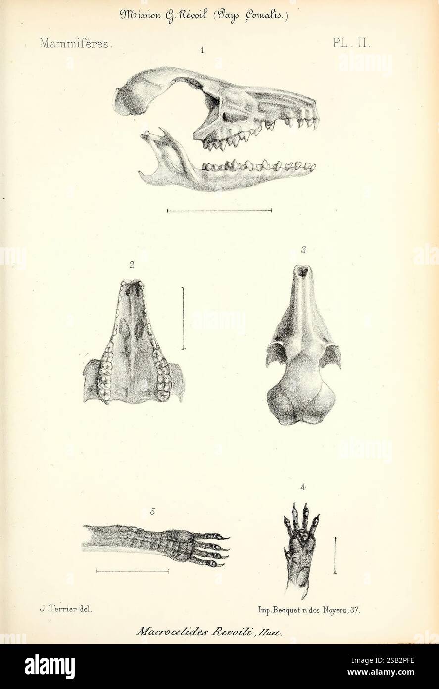 Numbered parts feature hi-res stock photography and images - Alamy