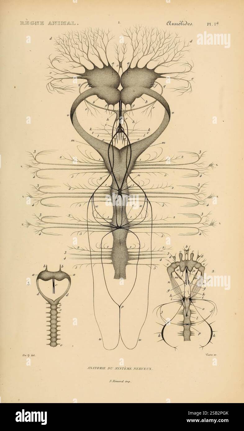 Stylized representation details different aspects hi-res stock ...
