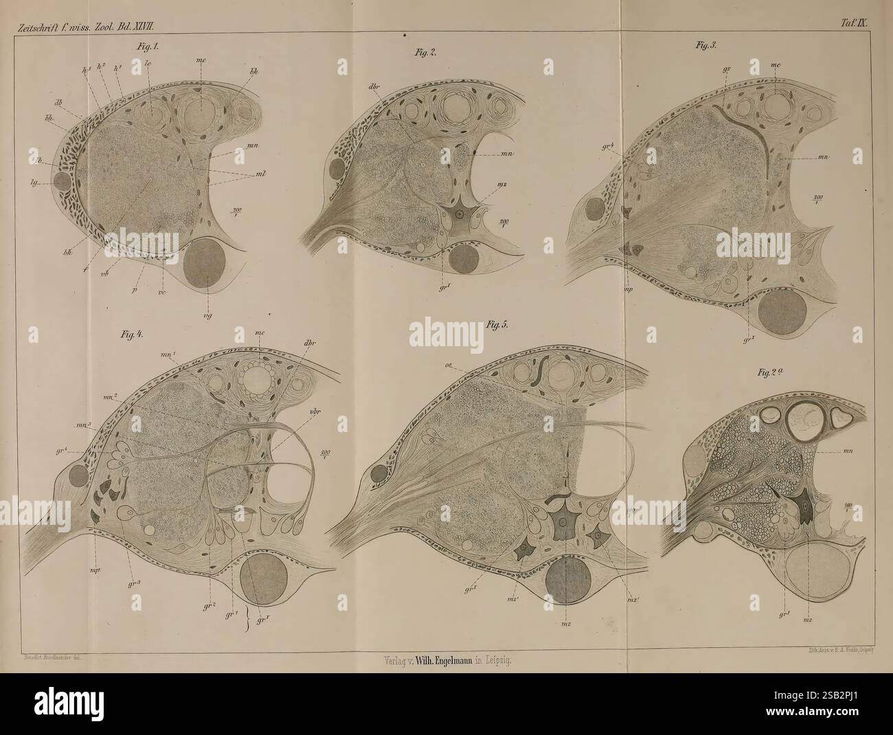 Clear visual progression hi-res stock photography and images - Alamy