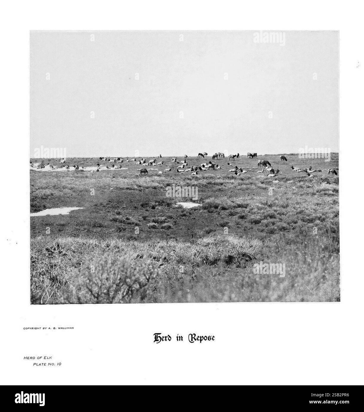 Expanse of land Cut Out Stock Images & Pictures - Alamy