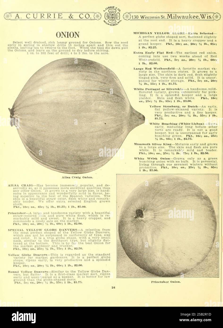 Alisa craig onion hi-res stock photography and images - Alamy