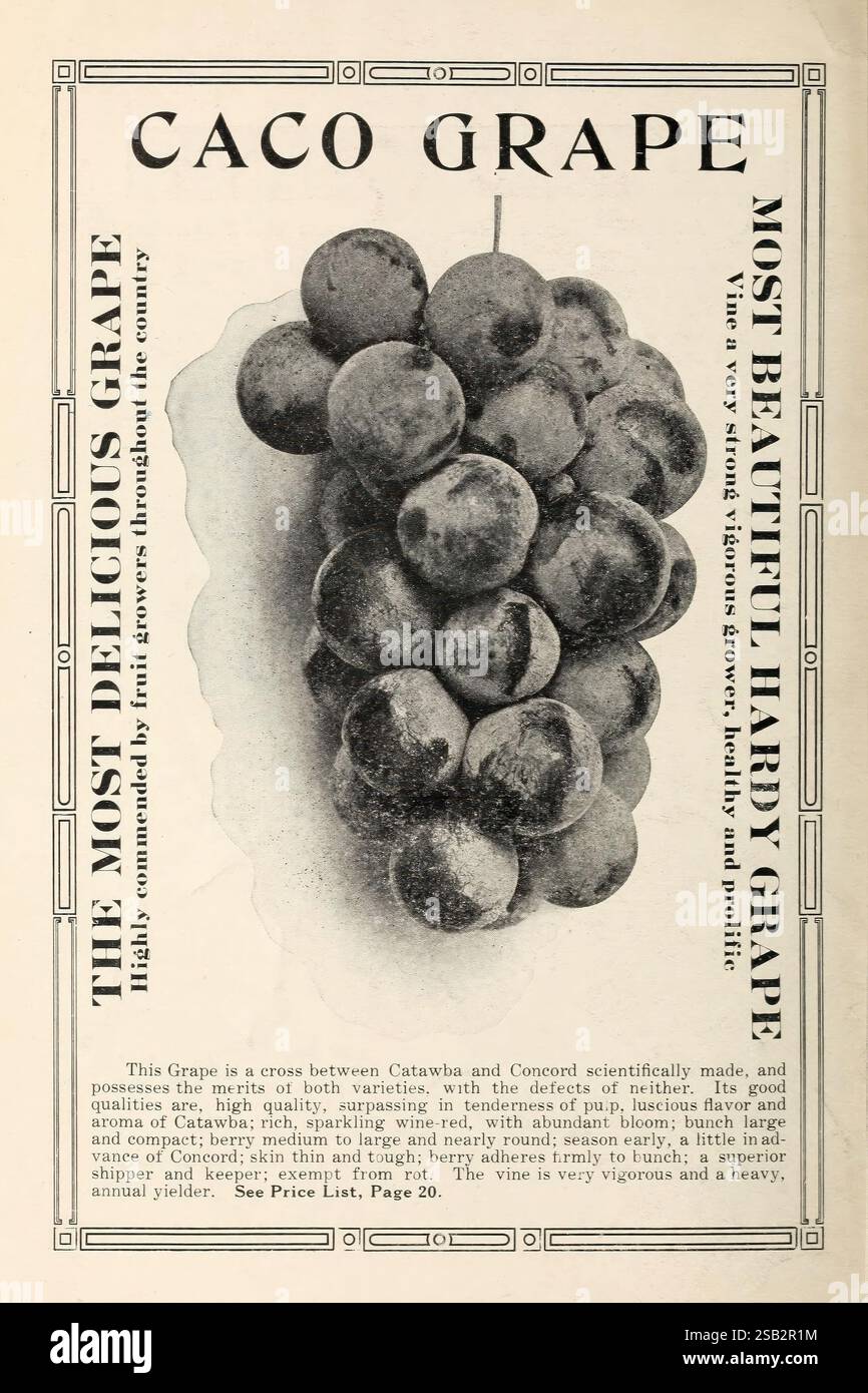 Tingle nursery hi-res stock photography and images - Alamy