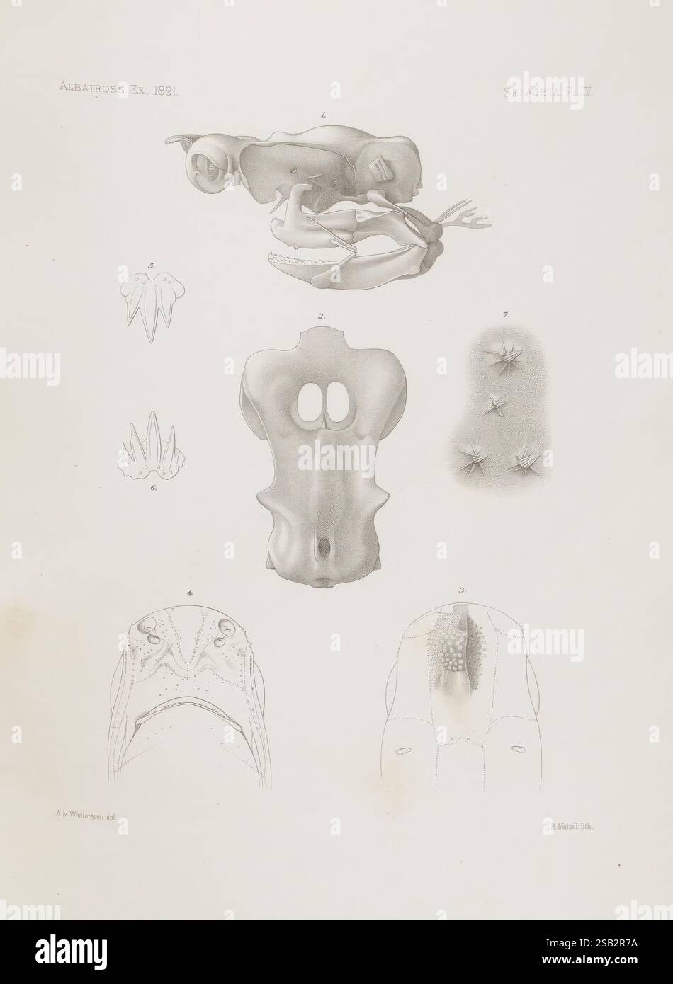 External features showcase hi-res stock photography and images - Alamy