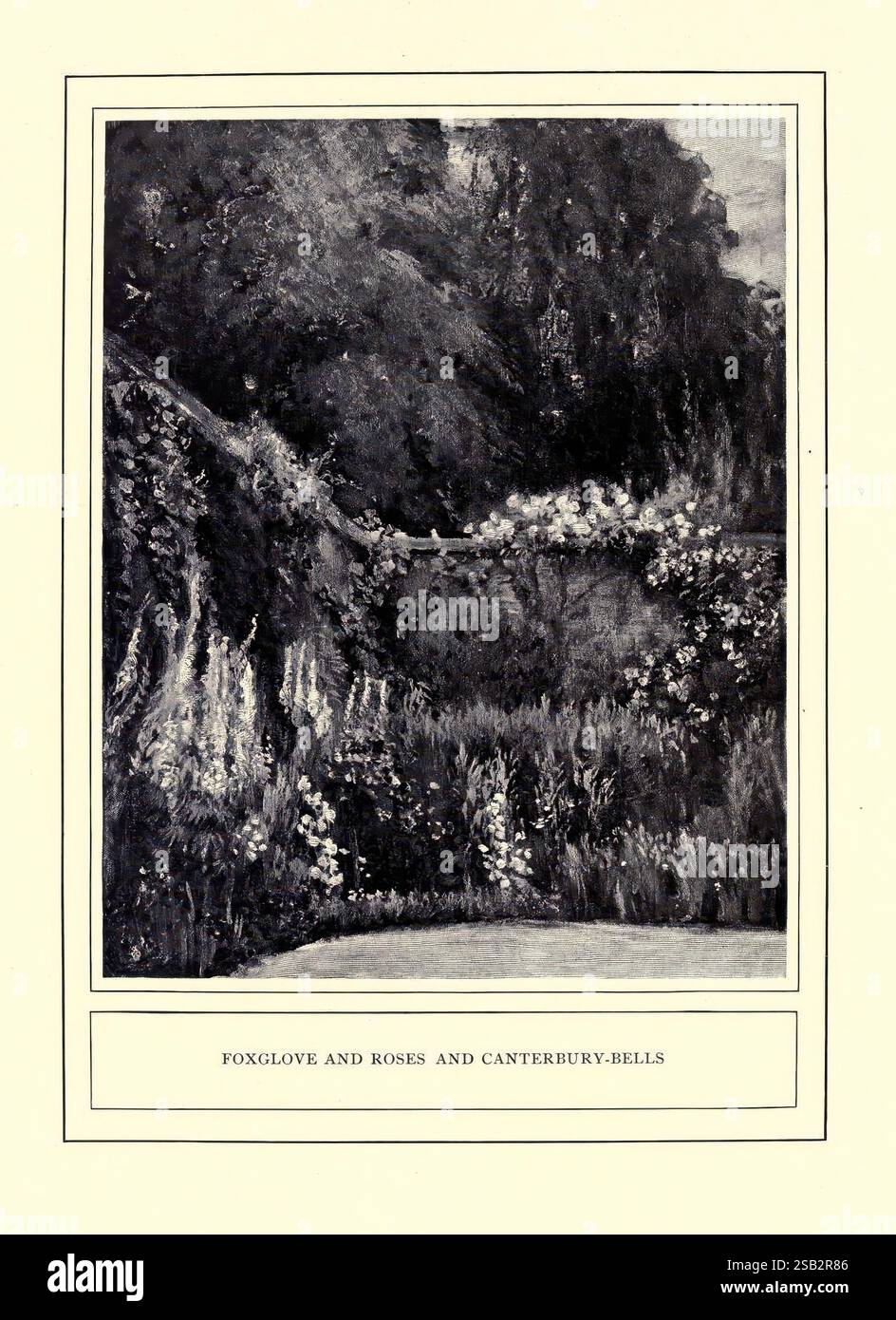 Featuring vibrant colors intermingled hi-res stock photography and ...