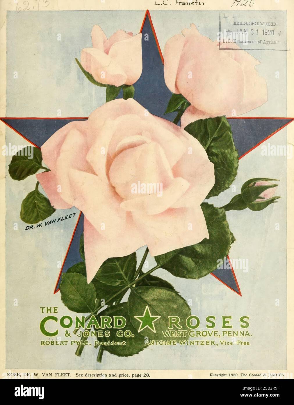 Blue shades adds hi-res stock photography and images - Alamy