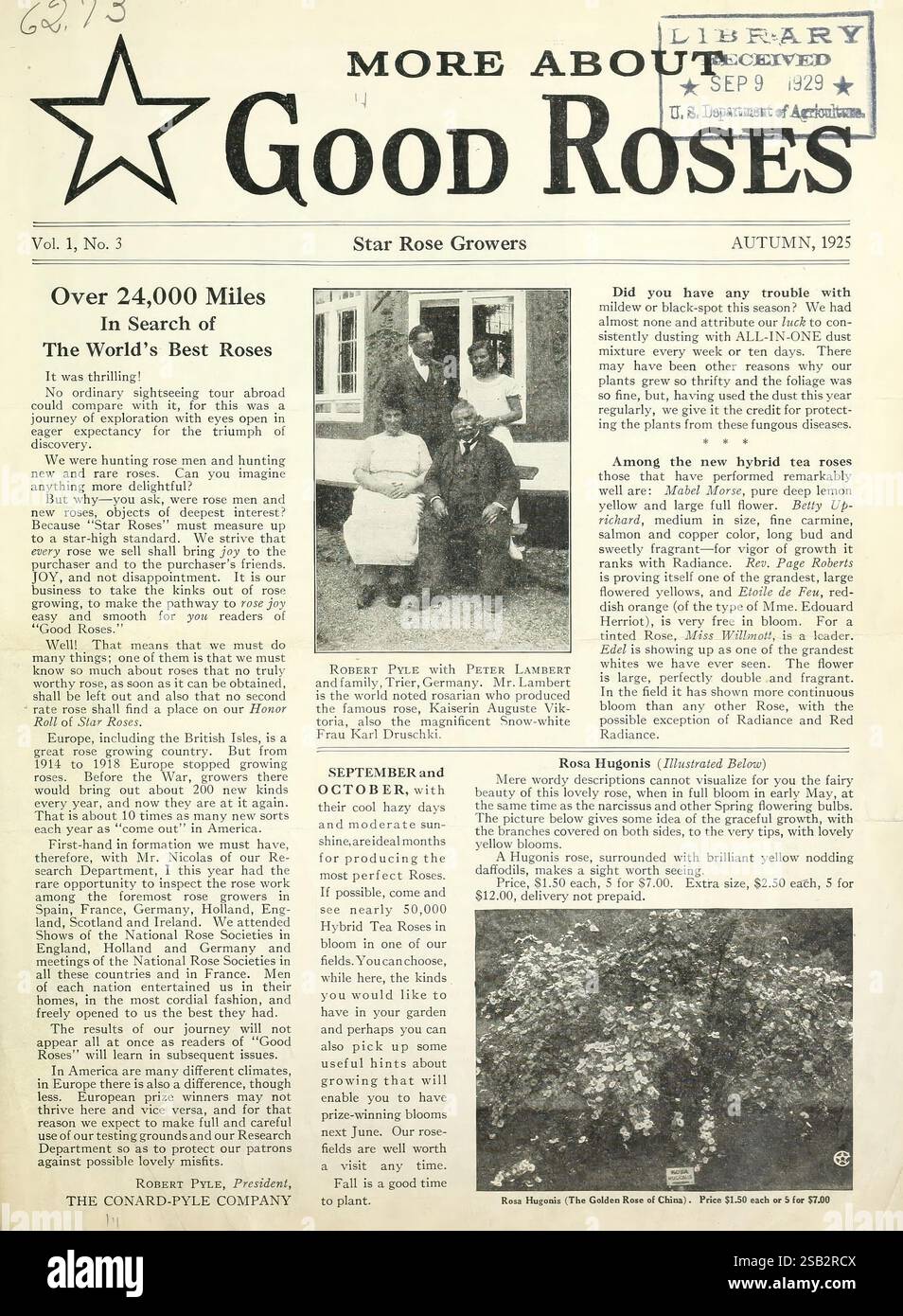 Worlds best roses hi-res stock photography and images - Alamy