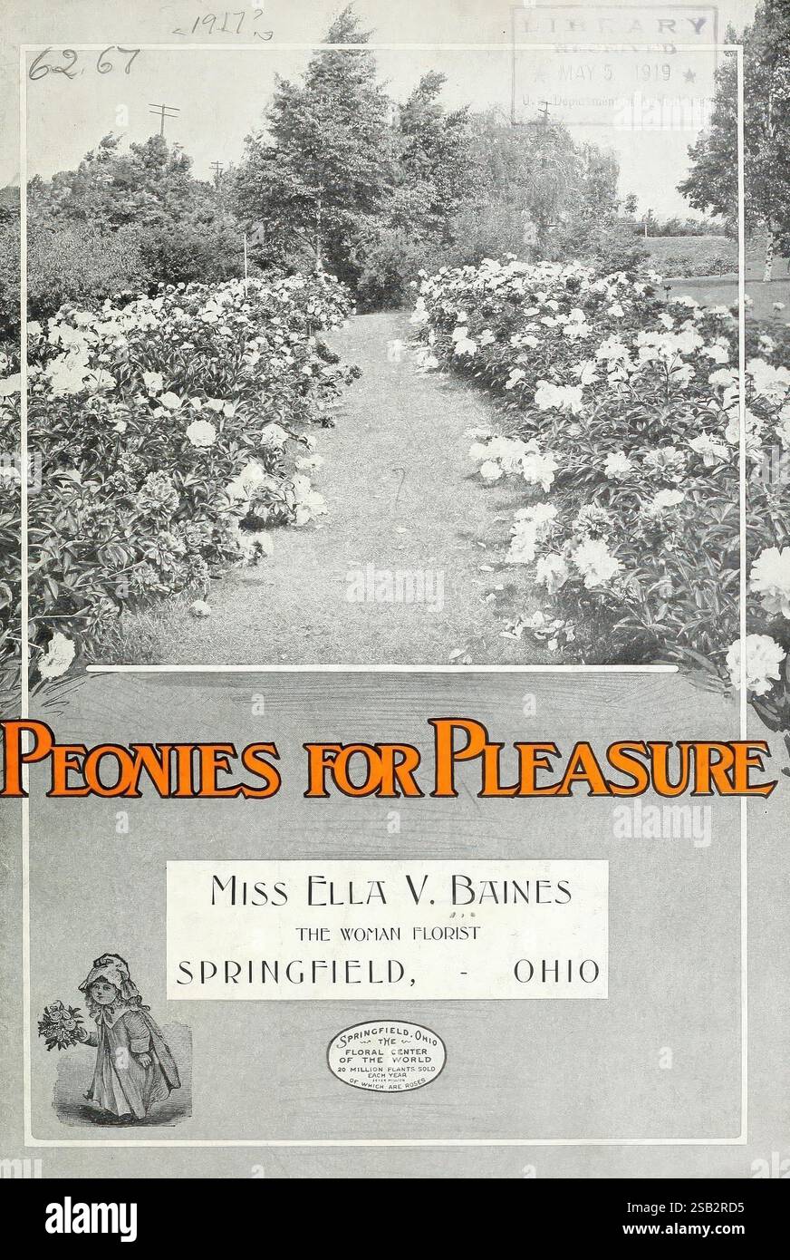 Peonies for Pleasure, Springfield, Ohio, Baines, [1917], flowers, seeds ...