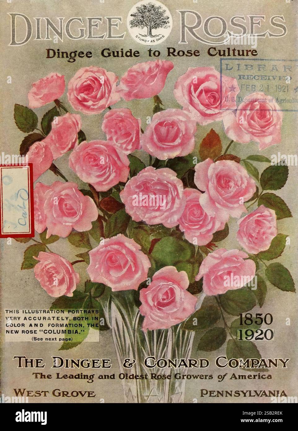 Dingee guide to rose culture West Grove, Pa, The Dingee & Conard Co ...