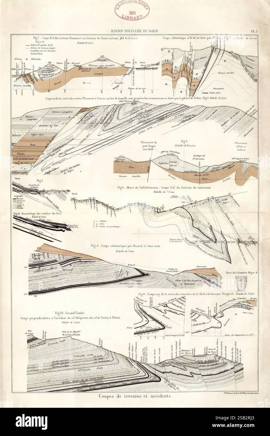 Géologie et paléontologie du bassin houiller du Gard Saint-Etienne ...