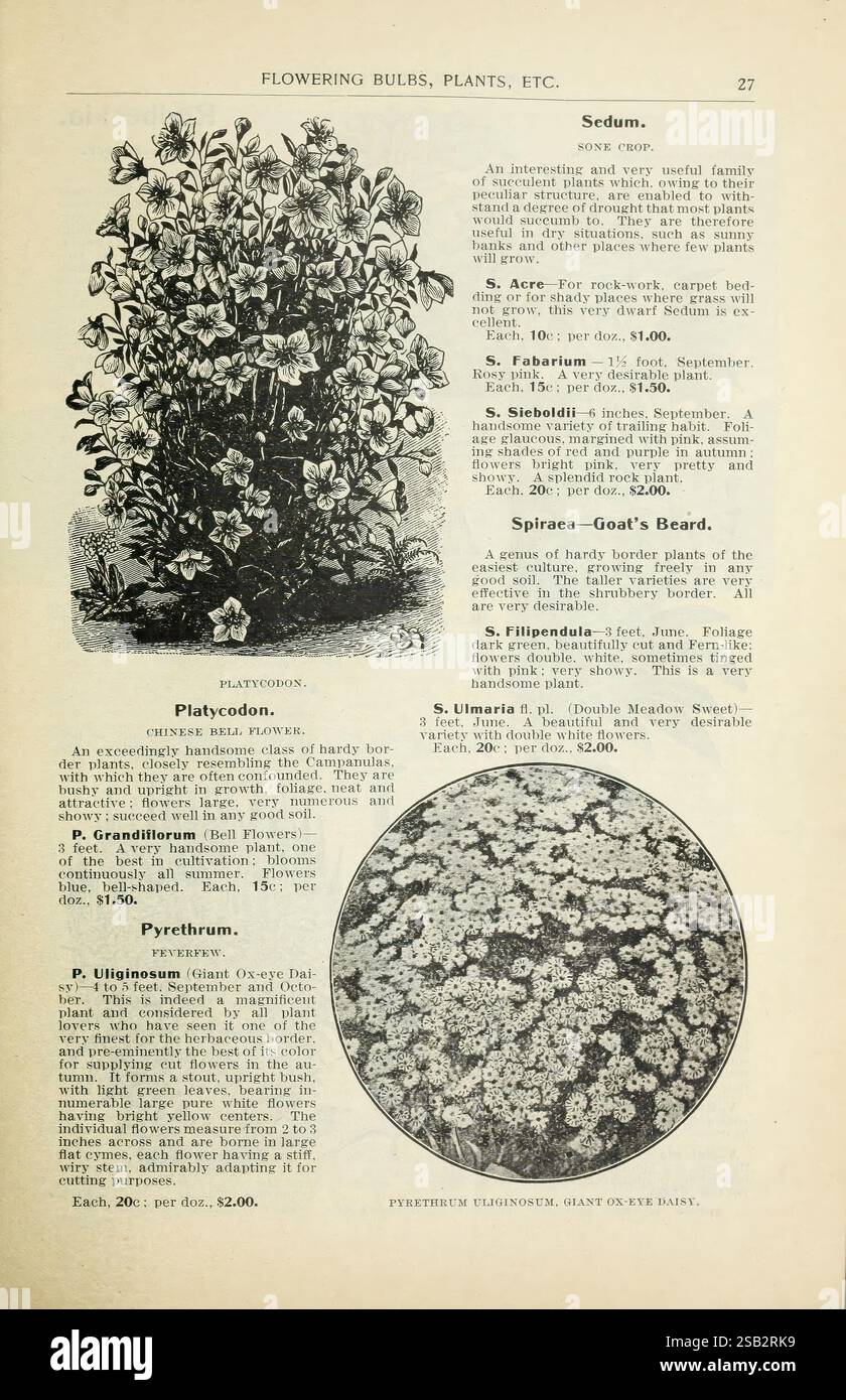 Showcasing their detailed illustrations and significance in ...