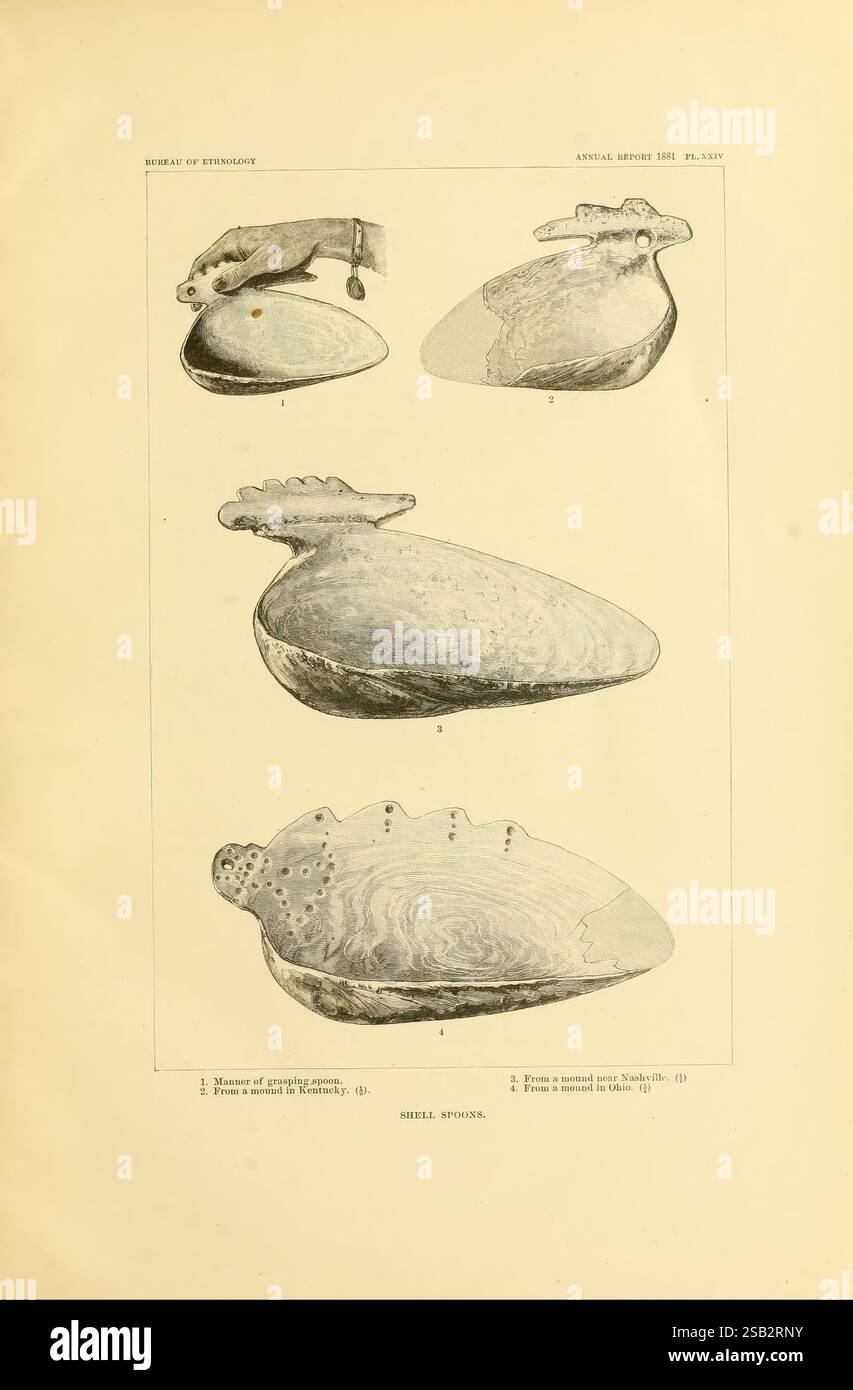 Art in Shell of the Ancient Americans, Washington, Govt. Print, 1883 ...