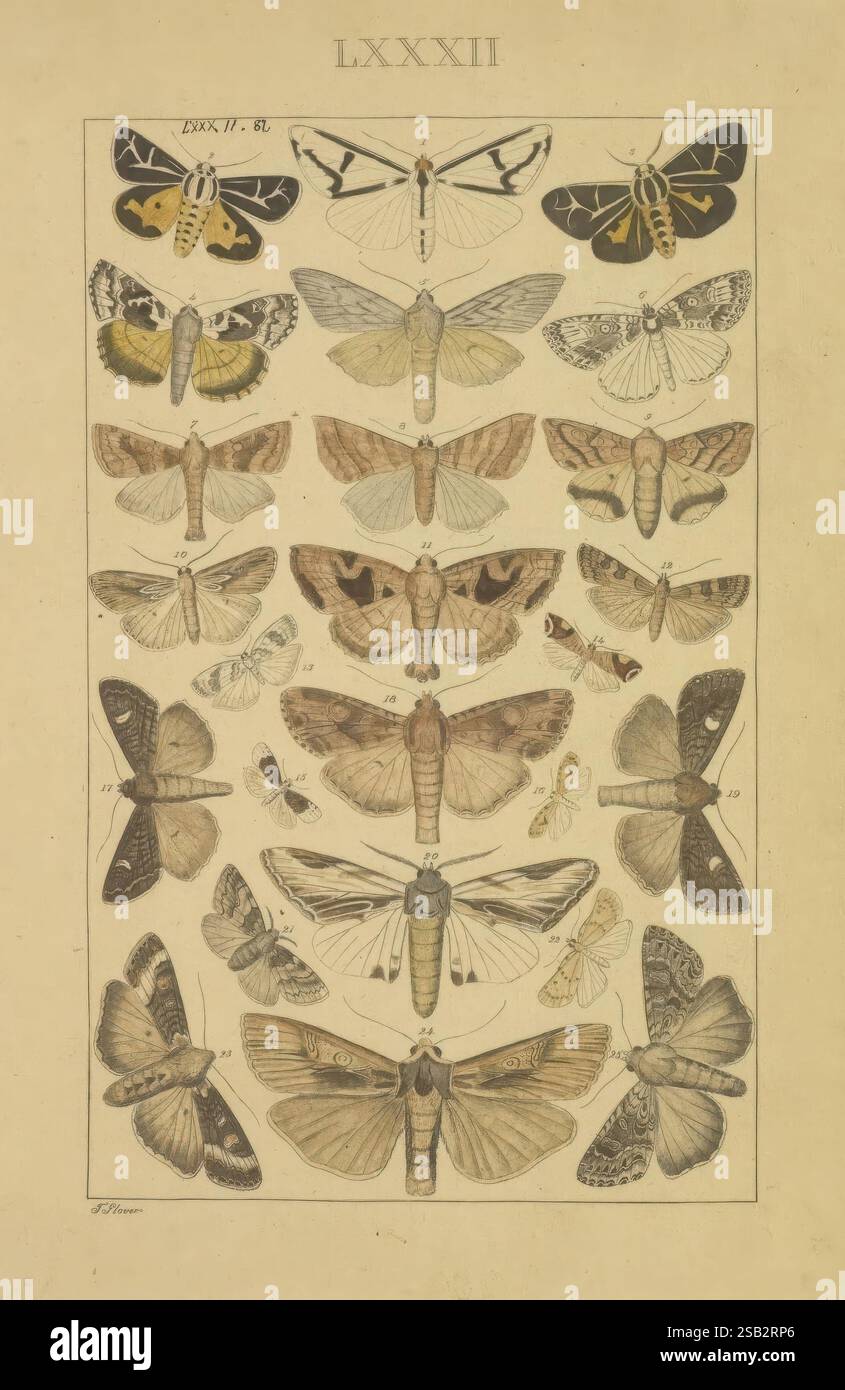 Numbering accompany hi-res stock photography and images - Alamy