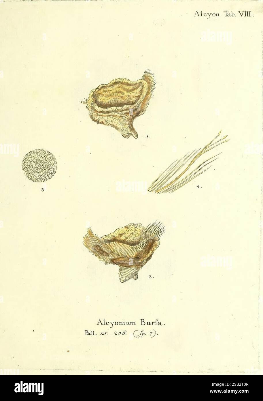 Circular shape labeled hi-res stock photography and images - Alamy