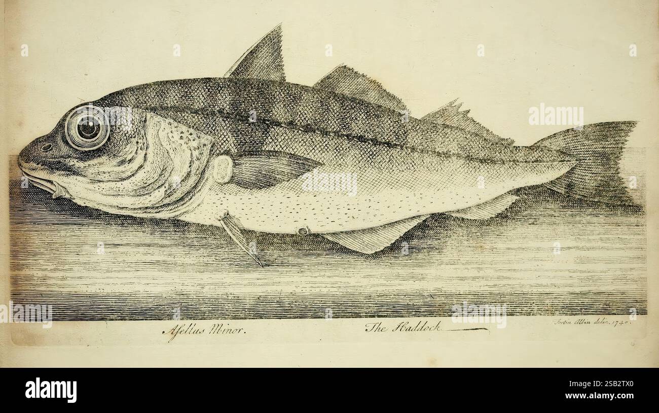 Somewhat scientific manner hi-res stock photography and images - Alamy